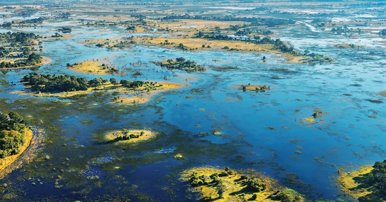 Okavango Delta choked by microplastics – The Patriot On Sunday